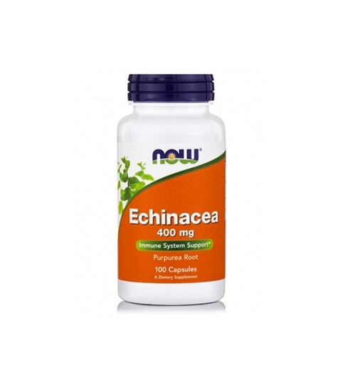 NOW Echinacea 400 mg 100 Capsules - PharmaDirect.gr